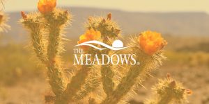 Blog - Dr. Jill Manning